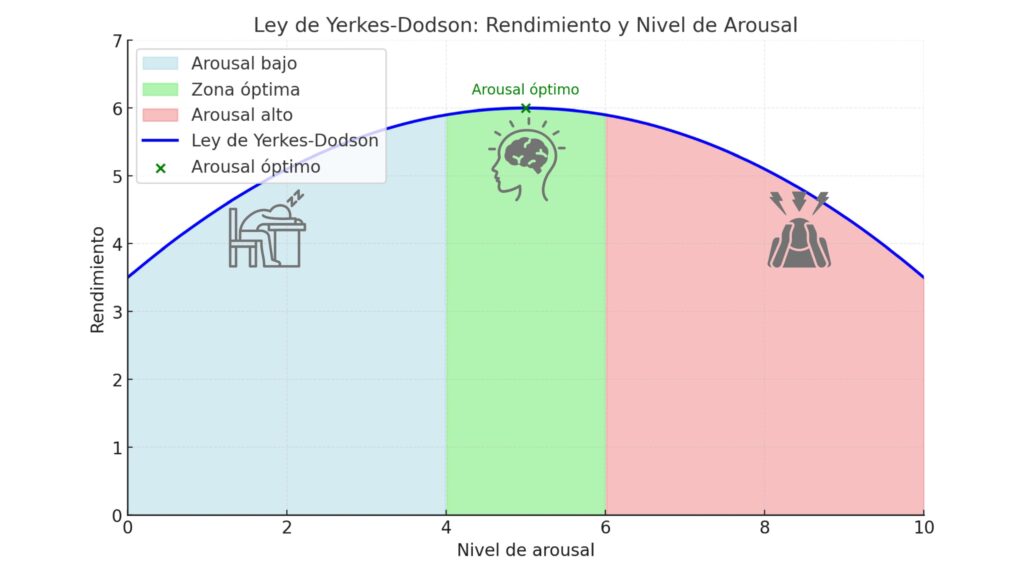 El arousal: el estímulo energizante que nos activa - Blog AMLSPORT